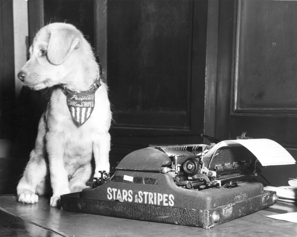 | U.S. Naval Institute Photo Archives