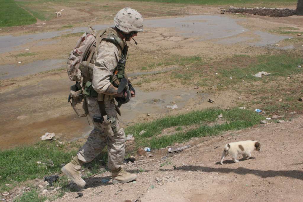 | U.S. Naval Institute Photo Archives