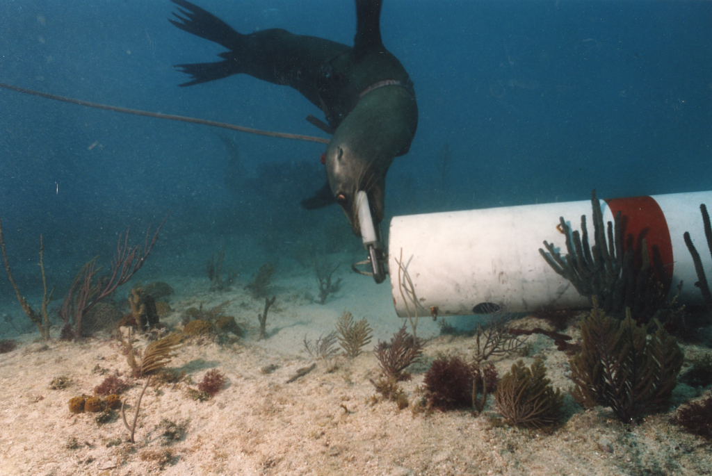 | U.S. Naval Institute Photo Archives