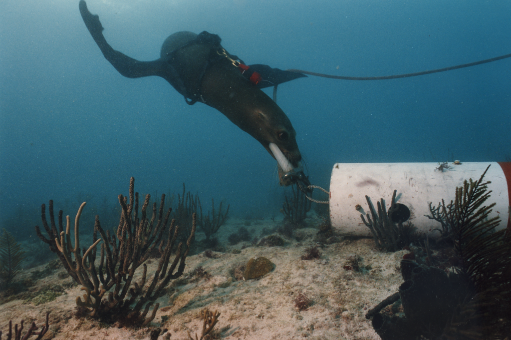 | U.S. Naval Institute Photo Archives